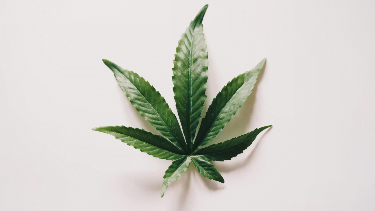 The Dangerous Evolution: The Rise of Synthetic Cannabinoids