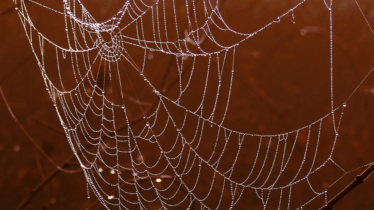 How to Host a Memorable Sober Halloween Party in 2024