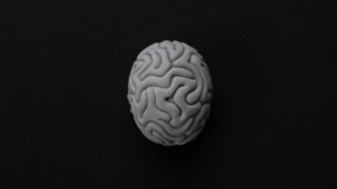 The Neuroscience of Addiction Recovery